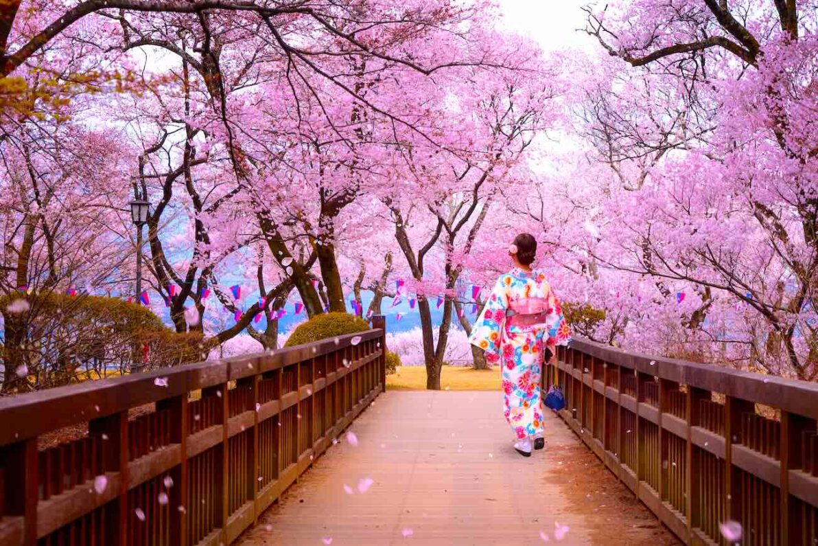 Hanami 2025 : Partez au Japon sans quitter l'Île-de-France avec les 150 ...